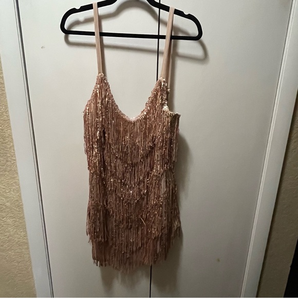 Amazing Lace | Dresses | Amazing Lace Champagne Sequin Fridge Mini ...